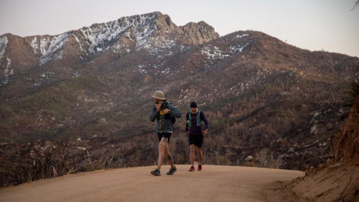 Вчені виявили метаболічну межу витривалості людини — Sci314 | Наука 314