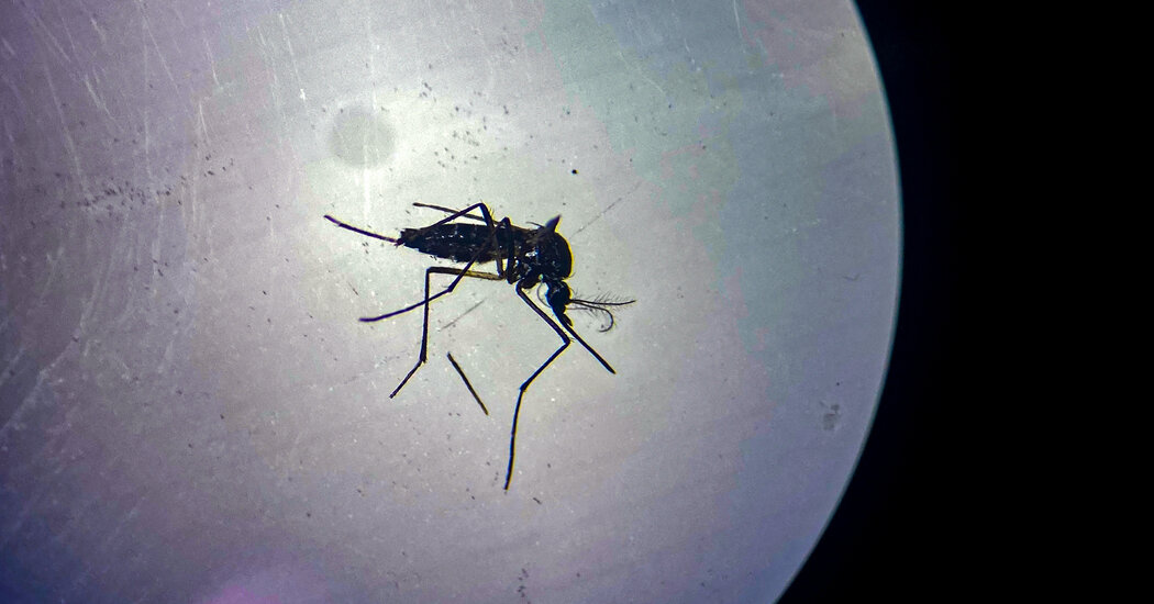 Чатботи заполонили наукові журнали листами до редакції — Sci314 | Наука 314